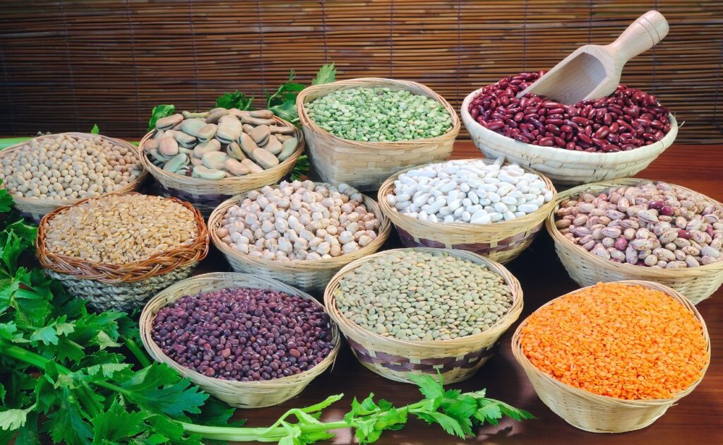 Pulses - Promising Group